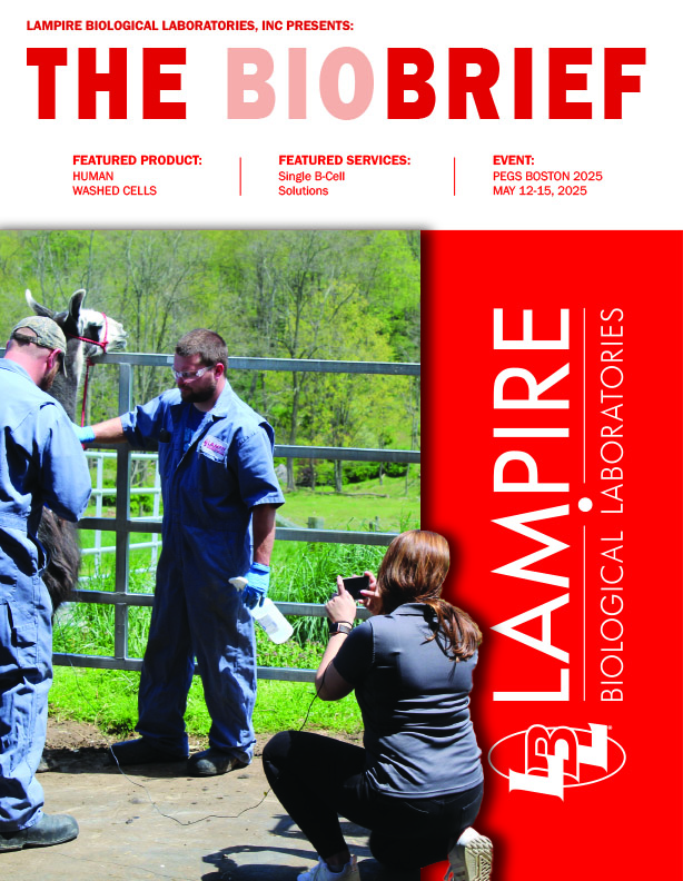 Videos | Lampire Biological Laboratories, Inc.